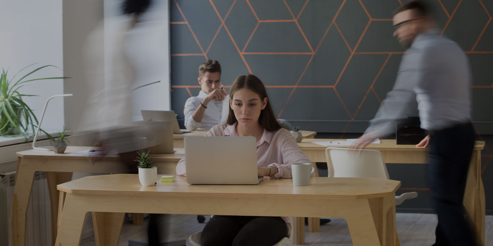 FINIO | The data integration hub